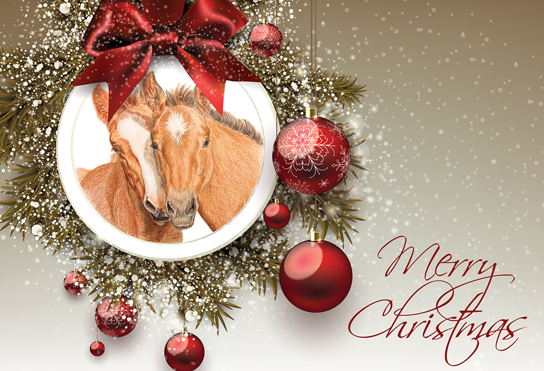 Christmas Cards « « Millermark Creations . Graphic Design . Website ...